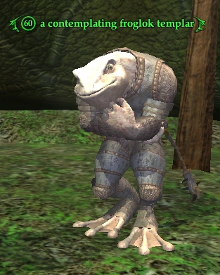 Image - A contemplating froglok templar.png | EverQuest 2 Wiki | FANDOM ...