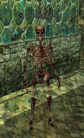 A rotting skeleton | EverQuest 2 Wiki | Fandom