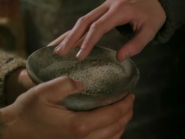 Polvos Flu | Harry Potter Wiki | FANDOM powered by Wikia