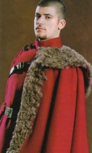 Viktor Krum | Harry Potter Wiki | FANDOM powered by Wikia