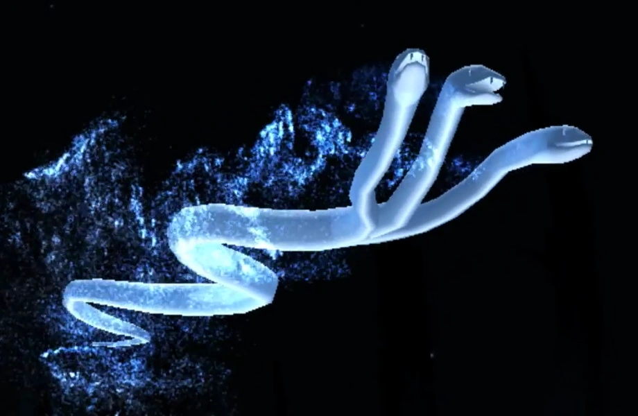 Imagen - Runespoor Patronus.png | Harry Potter Wiki | FANDOM powered by ...