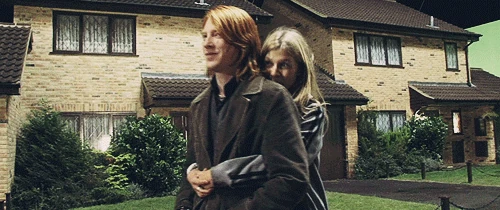 Boda de William Weasley y Fleur Delacour | Harry Potter Wiki | Fandom