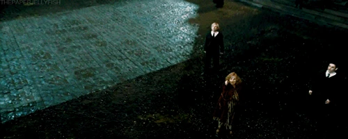 Fianto duri | Harry Potter Wiki | Fandom