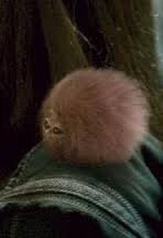 Micropuff | Harry Potter Wiki | Fandom