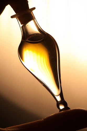 Felix Felicis | Harry Potter Wiki | Fandom