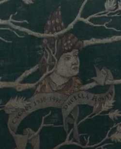 Cygnus Black III | Harry Potter Wiki | Fandom