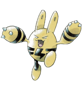 Elekid | WikiDex | FANDOM powered by Wikia