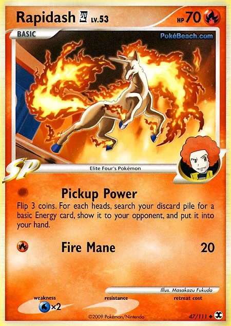 Rapidash Anime Series