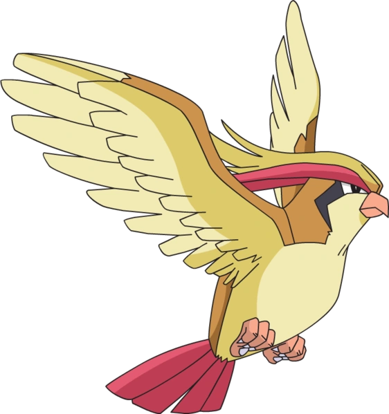 Imagen - Pidgeot (anime AG).png | WikiDex | FANDOM powered by Wikia