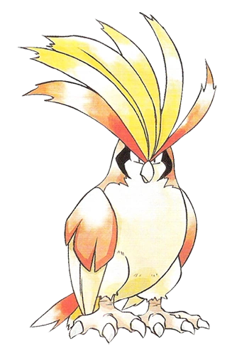 Pidgeot | WikiDex | FANDOM powered by Wikia