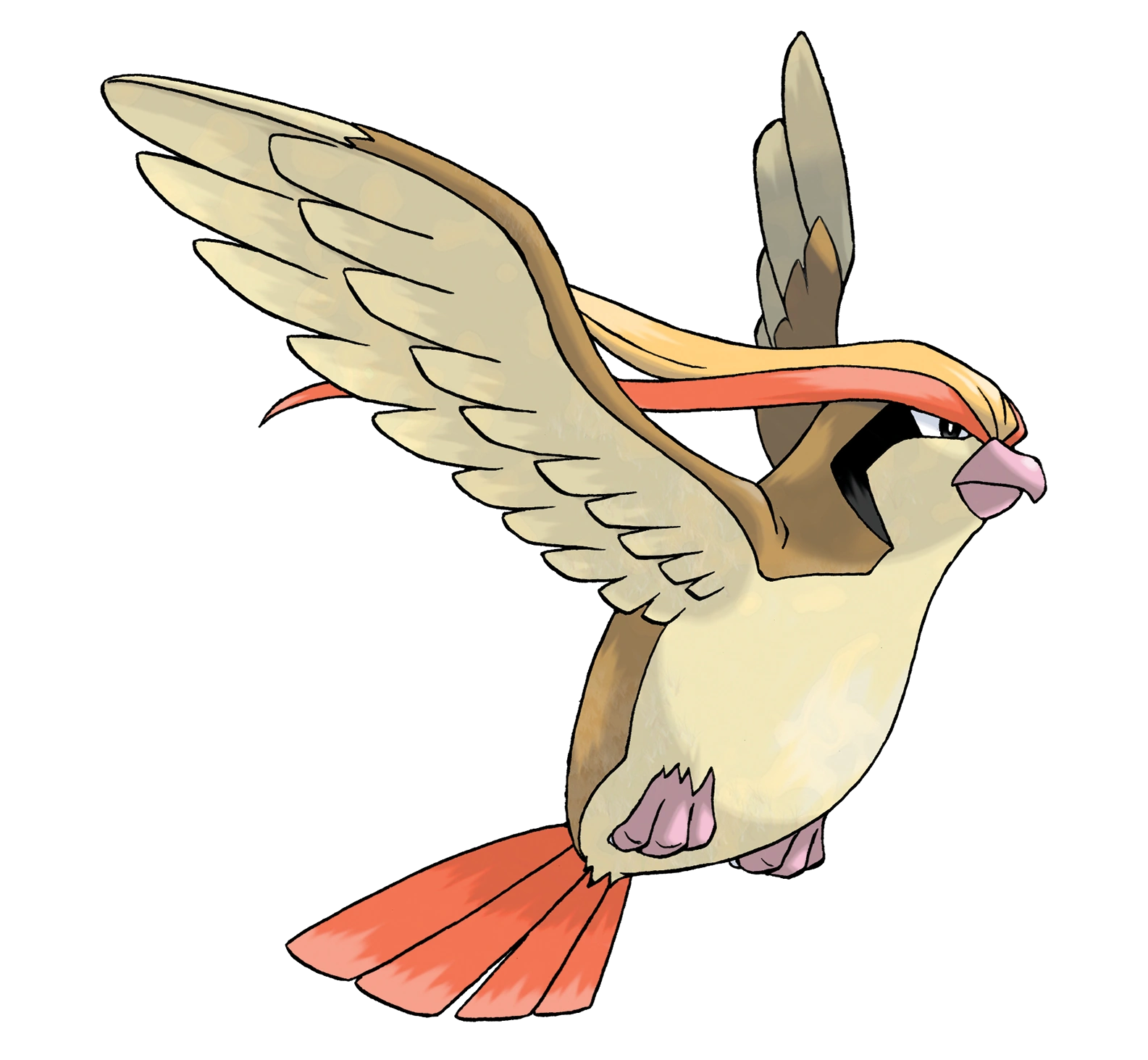 Pidgeot | WikiDex | FANDOM powered by Wikia