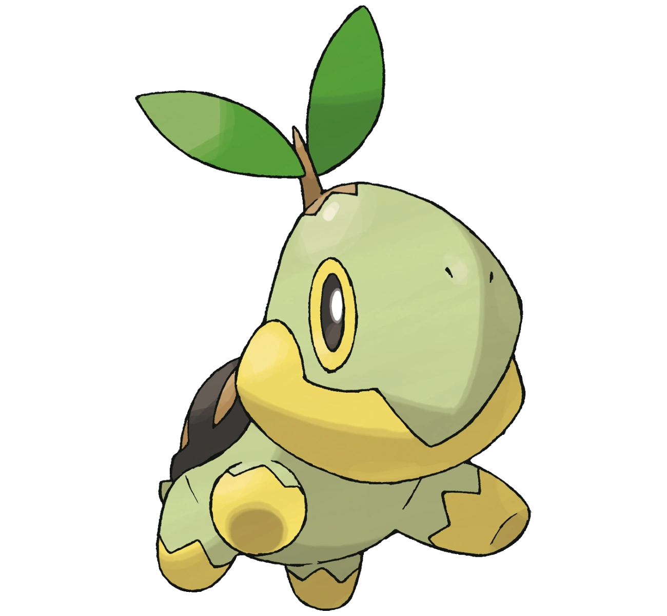 Turtwig | WikiDex | FANDOM powered by Wikia