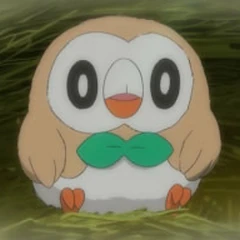 Rowlet de Ash | WikiDex | Fandom