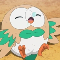 Rowlet de Ash | WikiDex | Fandom