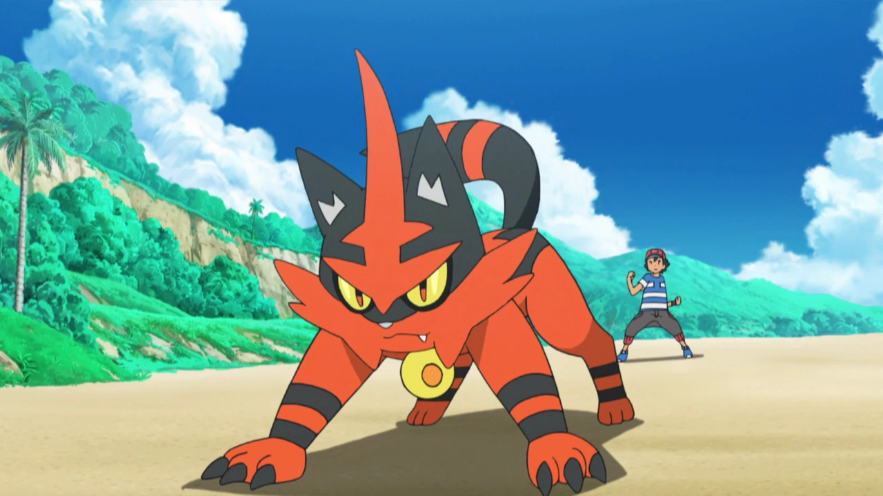 Torracat de Ash | WikiDex | FANDOM powered by Wikia