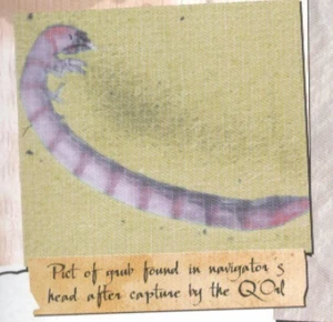 Larva Mental Q'Orl | Wikihammer 40k | FANDOM powered by Wikia