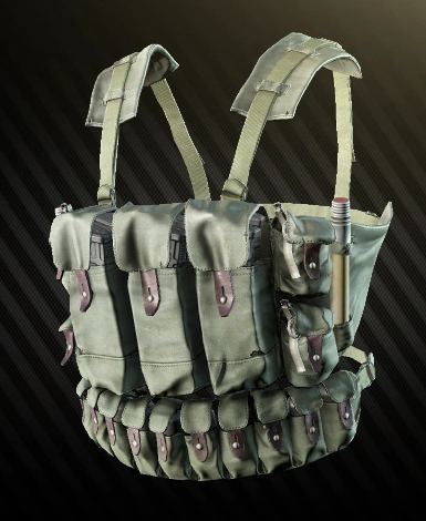 Tarkov tactical rigs