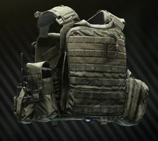Ars Arma CPC MOD.2 plate carrier | Escape from Tarkov Wikia | Fandom