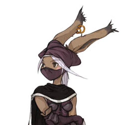 Asesino (Trabajo) | Final Fantasy Wiki | Fandom