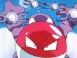 Voltorb | WikiDex | Fandom