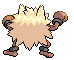 Primeape | WikiDex | Fandom