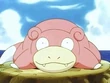 Slowpoke | WikiDex | Fandom