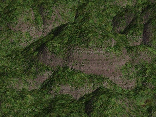 Terrain | Warlords Battlecry Wiki | Fandom