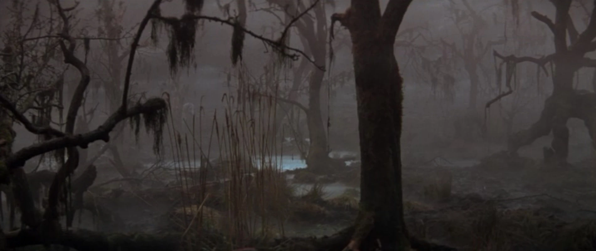 Swamp of Sadness | The Evil Wiki | FANDOM powered by Wikia