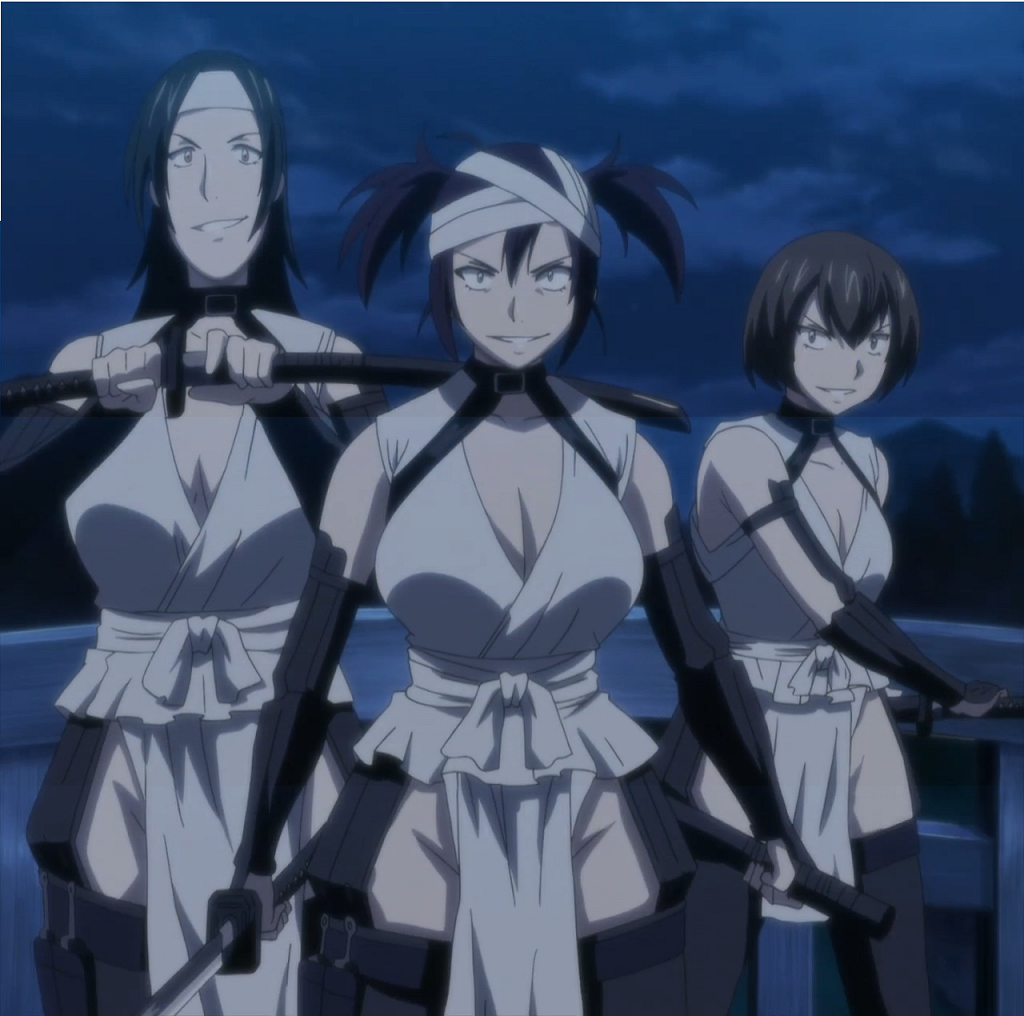 Image Zako Of The Manyuu 06png Evilbabes Wiki Fandom Powered By