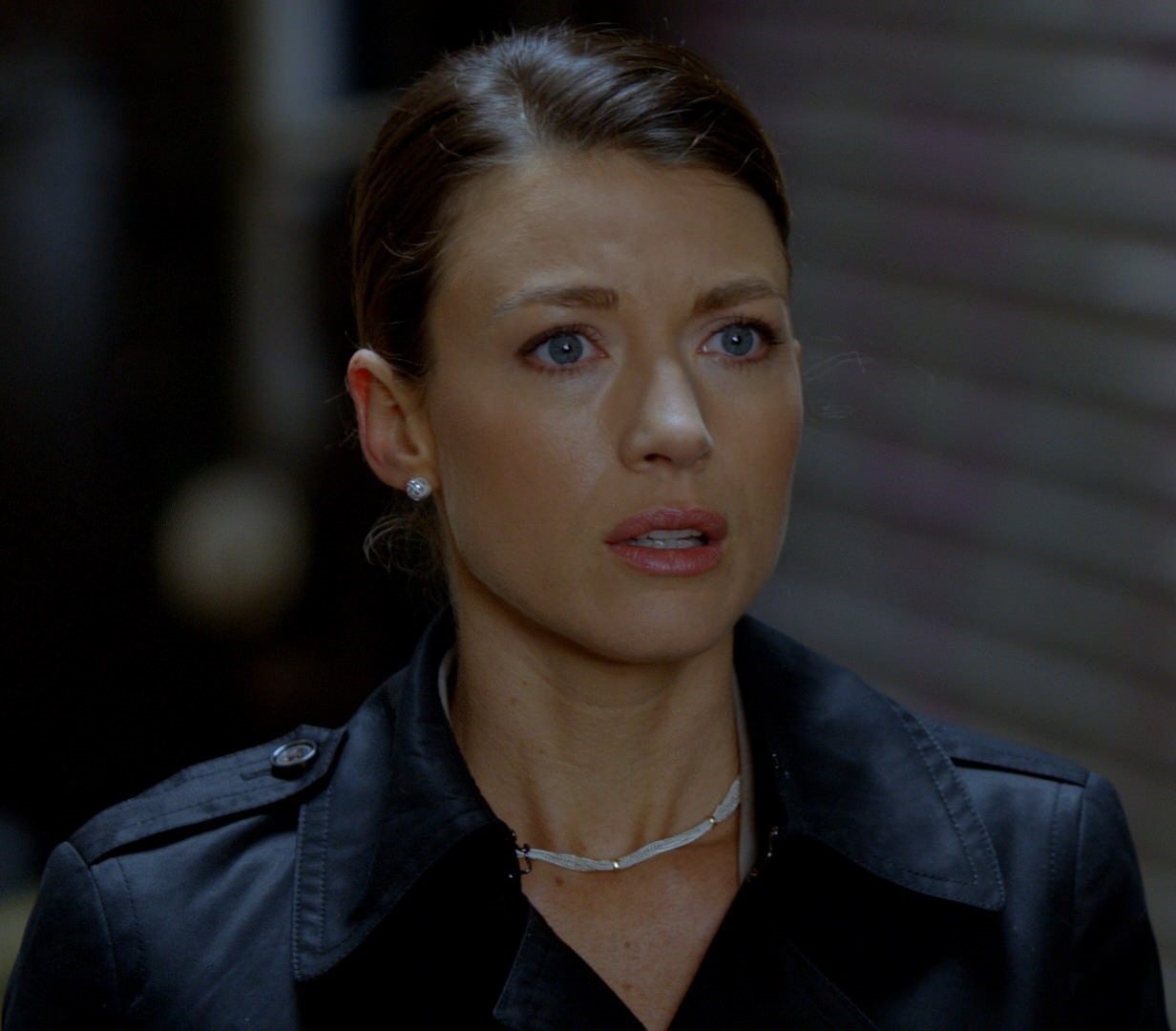 Diane Hansen Person Of Interest Evilbabes Wiki Fandom Powered By