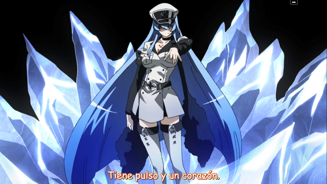 Esdeath Akame Ga Kill The Female Villains Wiki Fandom Powered By Wikia