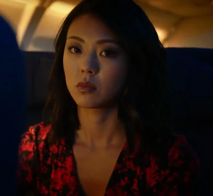 Erica Chan (CSI: Cyber) | The Female Villains Wiki | FANDOM powered by ...