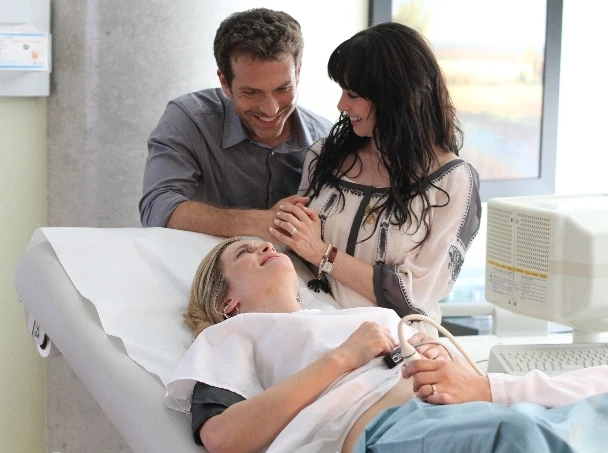 Mallory Parkes (The Surrogacy Trap) | The Female Villains Wiki | Fandom