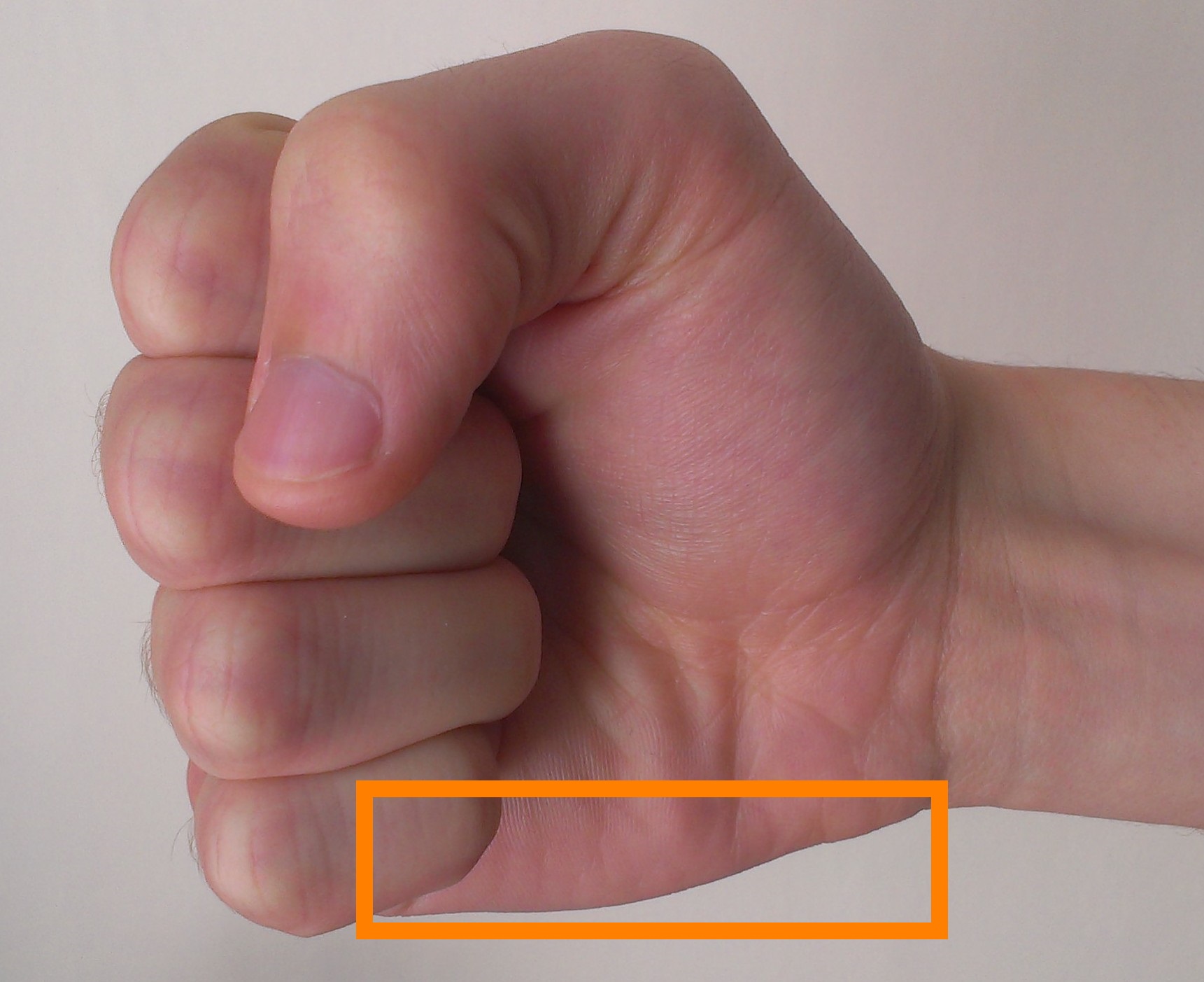 Hammer Fist | Evolutionary Self Protection Wiki | Fandom