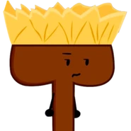 Broomer | Excellent Entities Wiki | Fandom