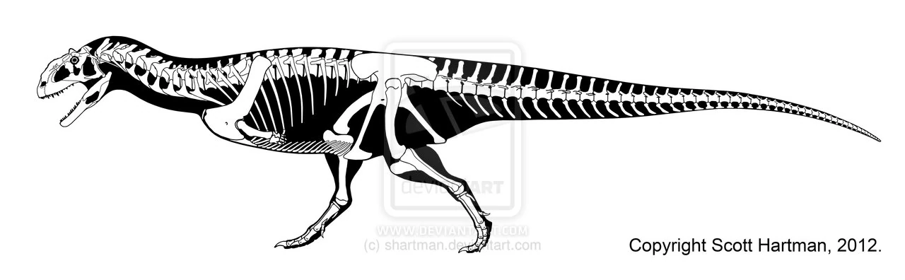 Image - Majungasaurus - 2(Skeletal(Scott Hartman)).jpg | Dinosaur Wiki ...