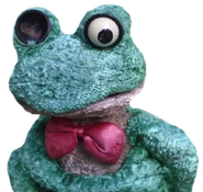 Froggy | Fairy Kingdom Wiki | Fandom