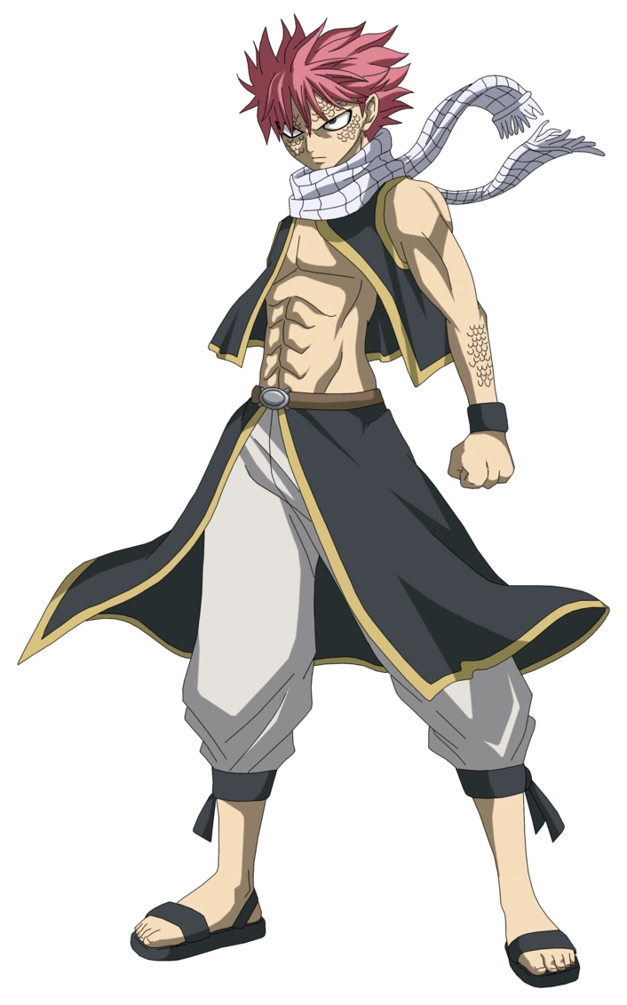 Image - Natsu profil ryu.png | Fairy Tail Wiki | FANDOM powered by Wikia