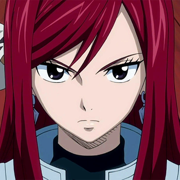 Image - Mugshot of Erza.png | Fairy Tail Wiki | FANDOM powered by Wikia