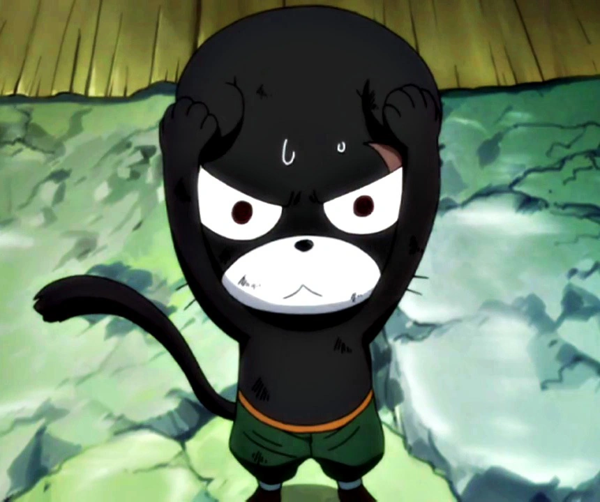 Image - Lily avatar.png | Wikia Fairy Tail tiếng Việt | FANDOM powered by Wikia