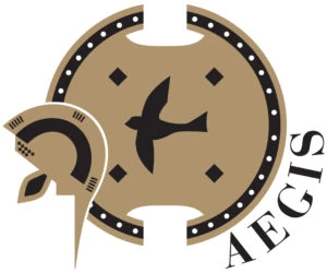 Aegis | Fairy Tail Fanon Wiki | Fandom