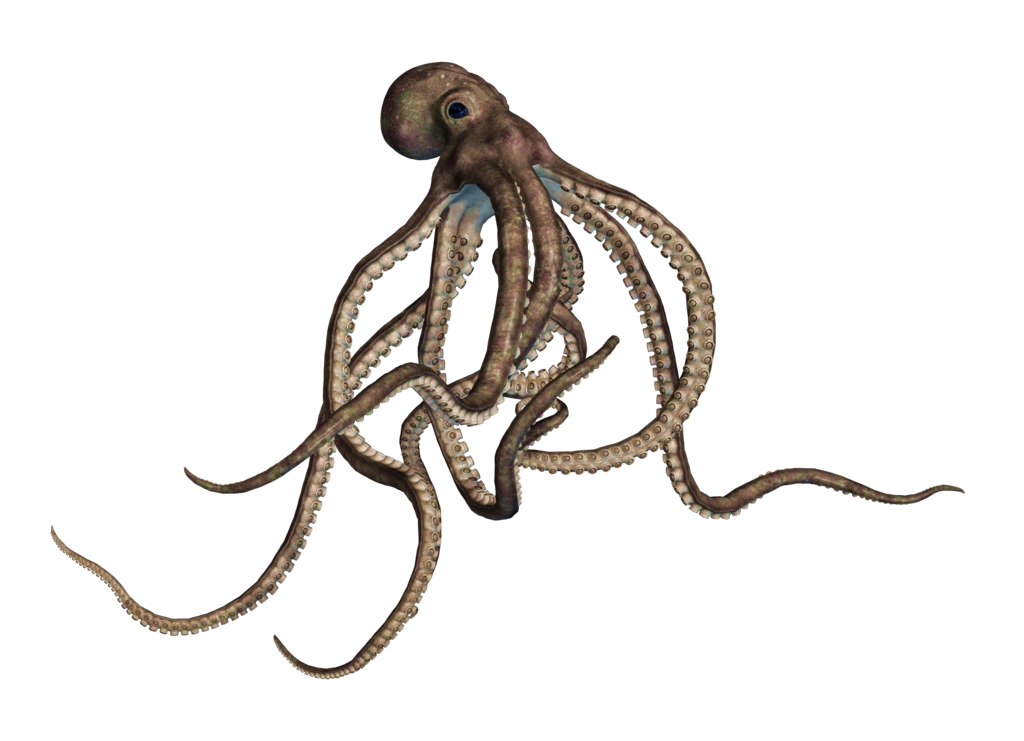 Kraken | Wiki Fairy Tail Fanon | Fandom