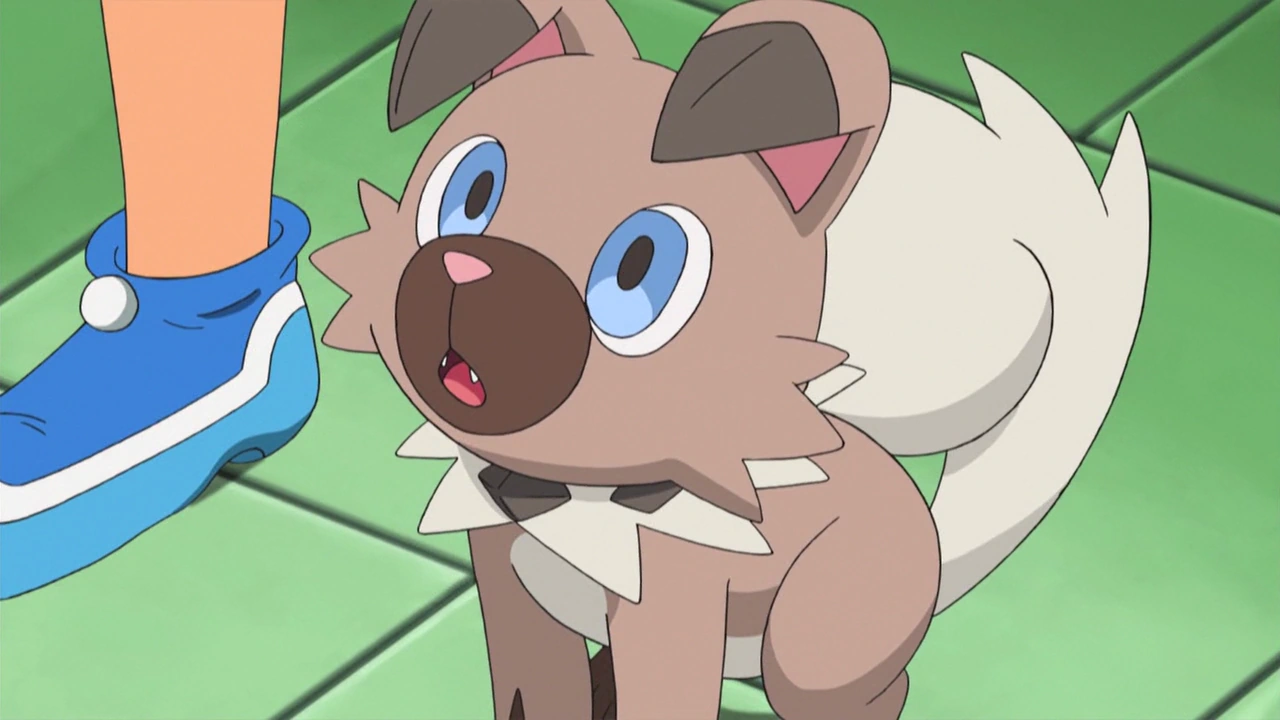 Rockruff de Keo | La Wikia de Pokéfanon | Fandom