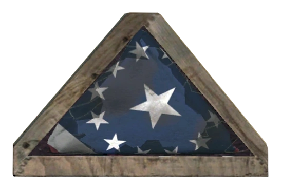 Trifold American flag (Fallout 76) | Fallout Wiki | Fandom