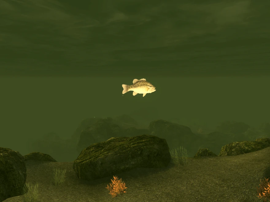 Category:Fish | Fallout Wiki | Fandom