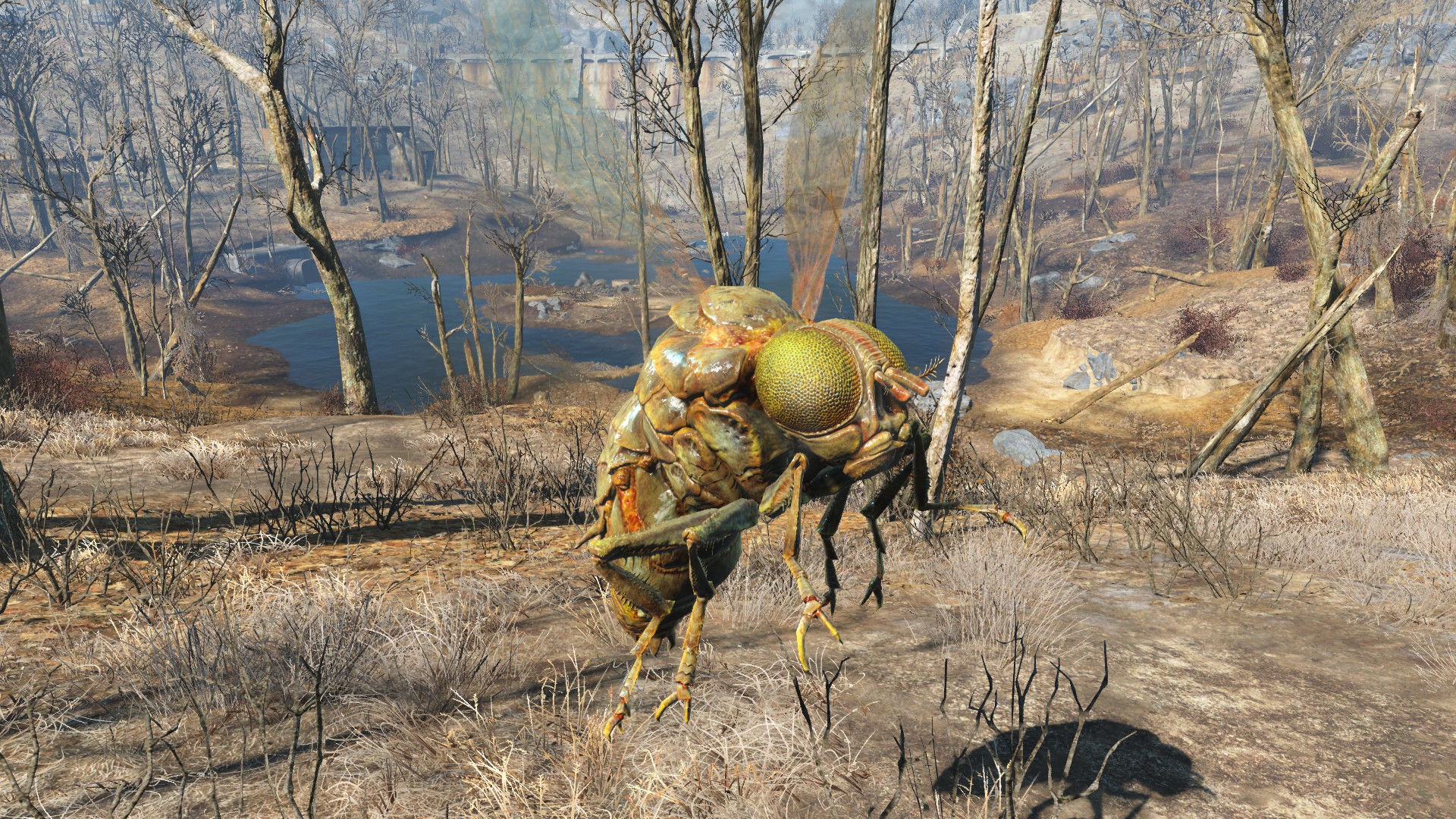 Image - FO4 Festering bloatfly.jpg | Fallout Wiki | FANDOM powered by Wikia Image - FO4 Festering bloatfly.jpg | Fallout Wiki | FANDOM powered by Wikia