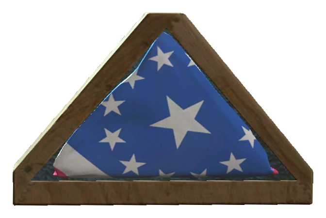 Image - Undamaged American flag.png | Fallout Wiki | FANDOM powered by ...