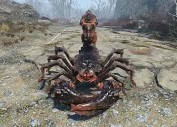 Radscorpion (Fallout 4) | Fallout Wiki | FANDOM powered by Wikia
