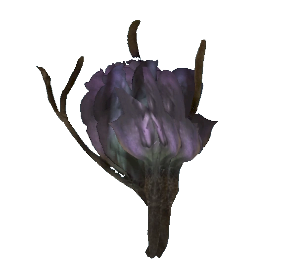 Tato flower (Fallout 4) | Fallout Wiki | Fandom