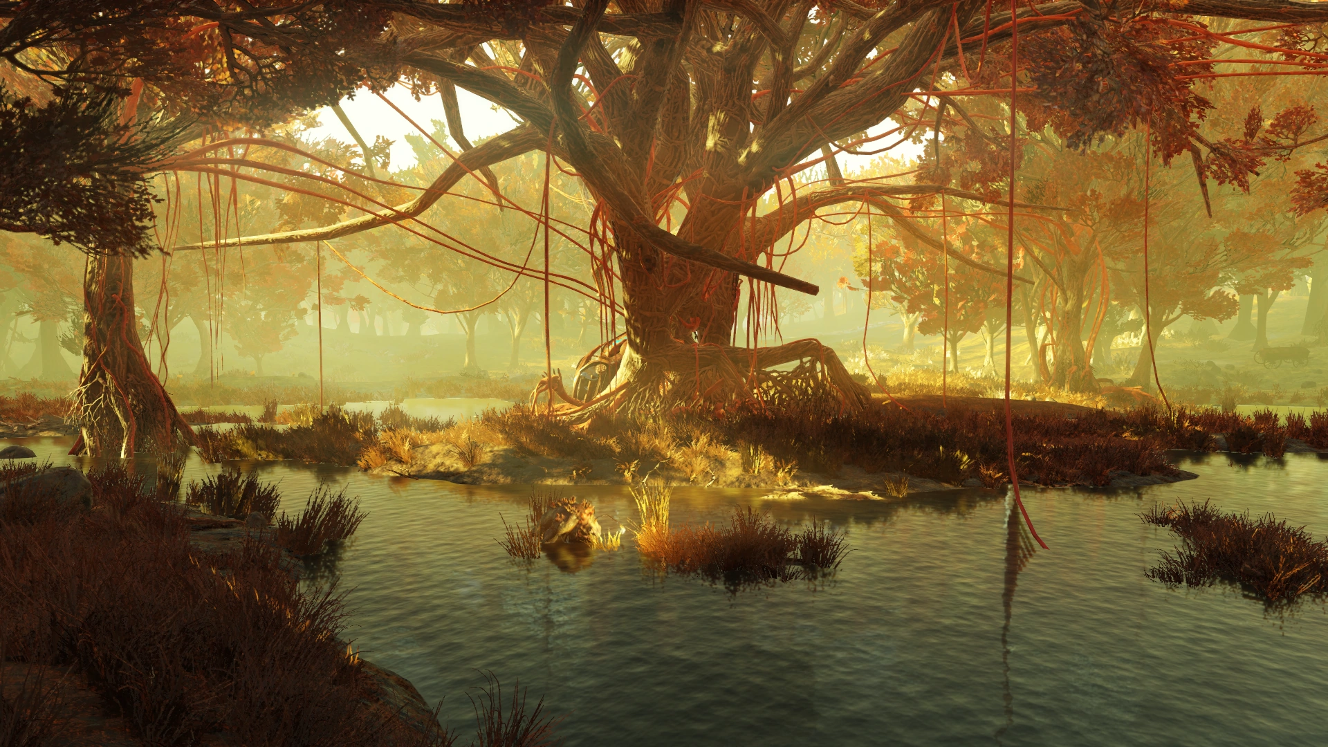 Gnarled shallows | Fallout Wiki | Fandom